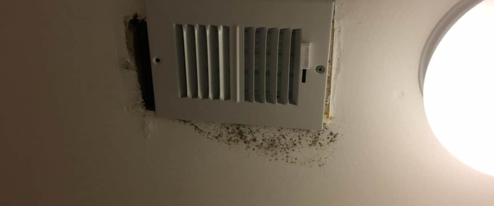 The Negative Effects of Mold on Air Vents: What You Need to Know